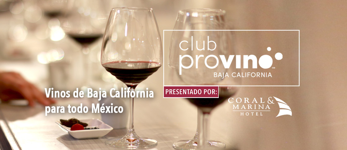 2020, año de contrastes para la industria del vino en Baja California ...