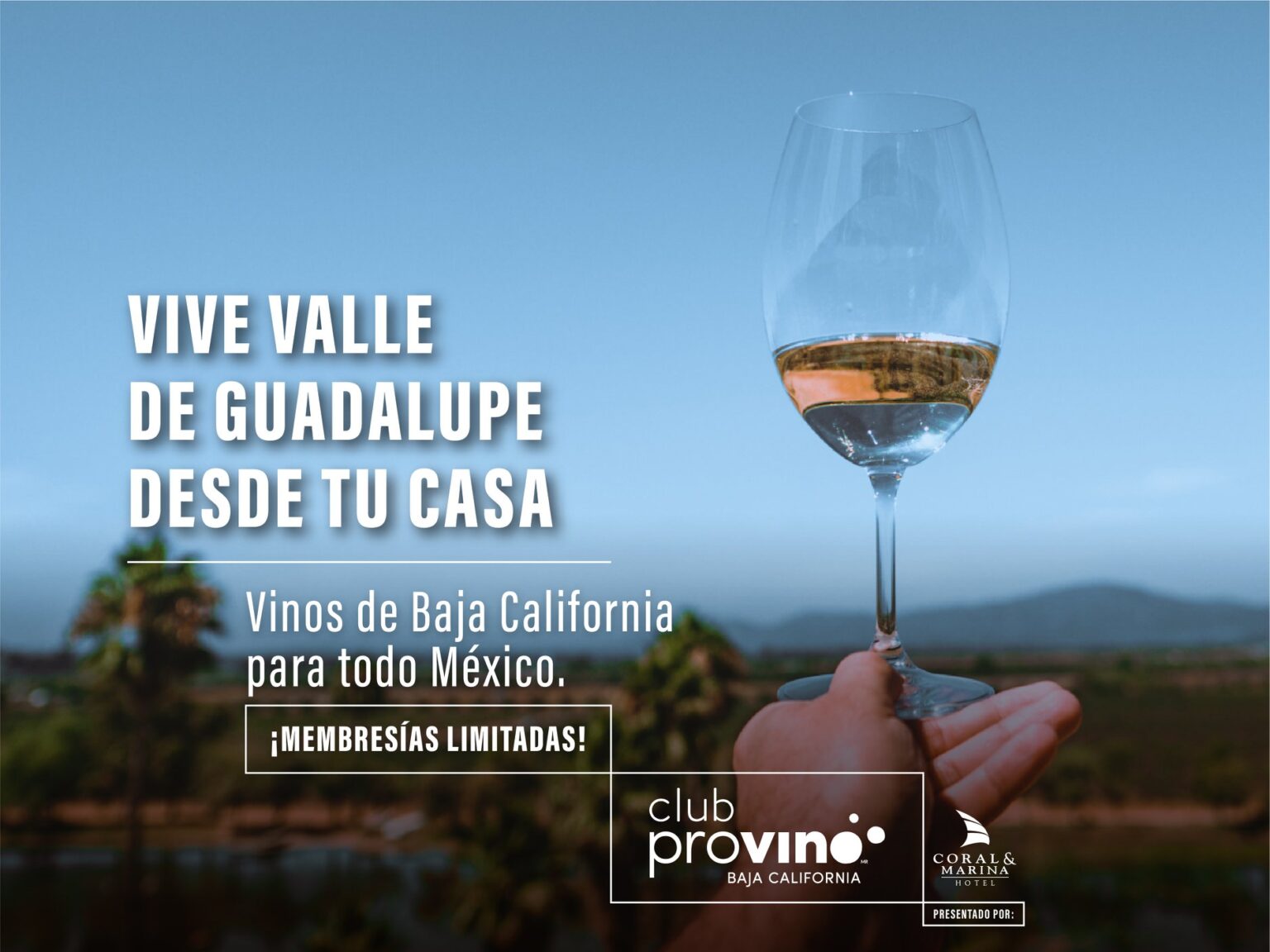 2020, año de contrastes para la industria del vino en Baja California ...